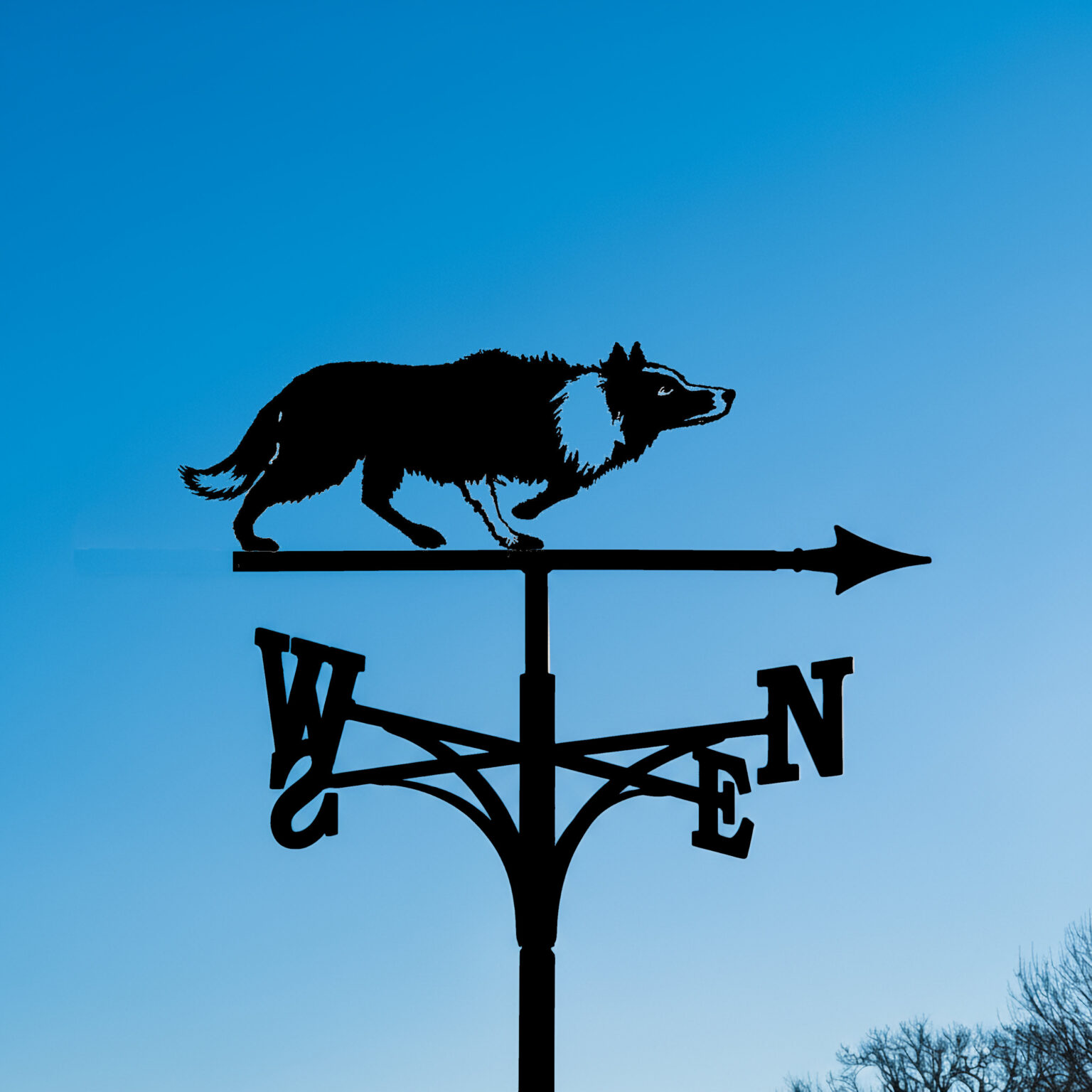 Stalking Collie Weathervane - Black Forge Art - Metal Weathervanes